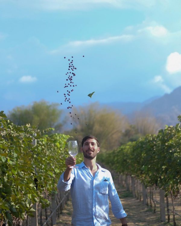 Wine Tasting in Bali - Insight Bali